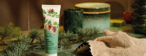 Cuida tu hogar y tu familia con productos de calidad – STANHOME ...
